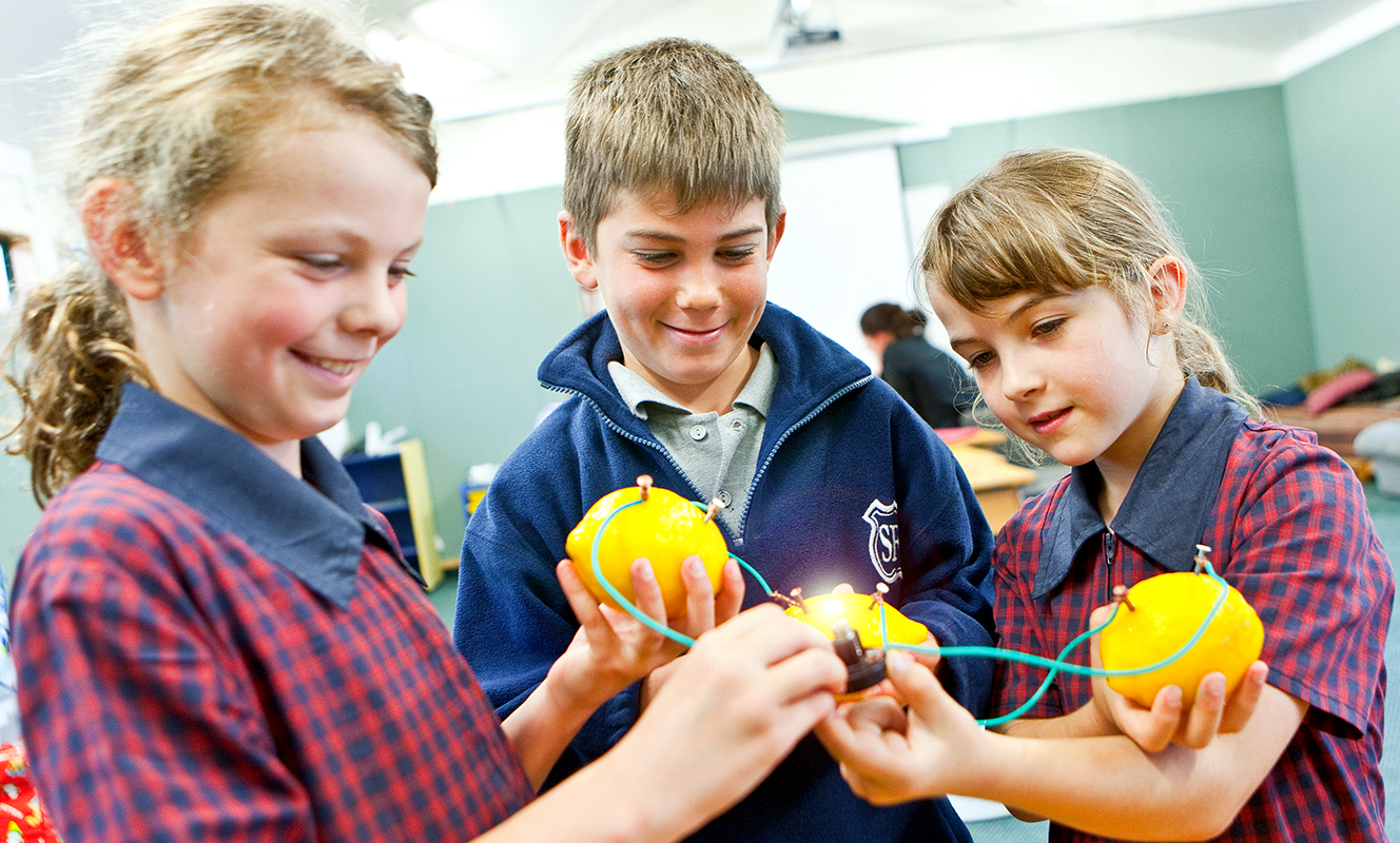 Universal Design For Learning Inclusive Education